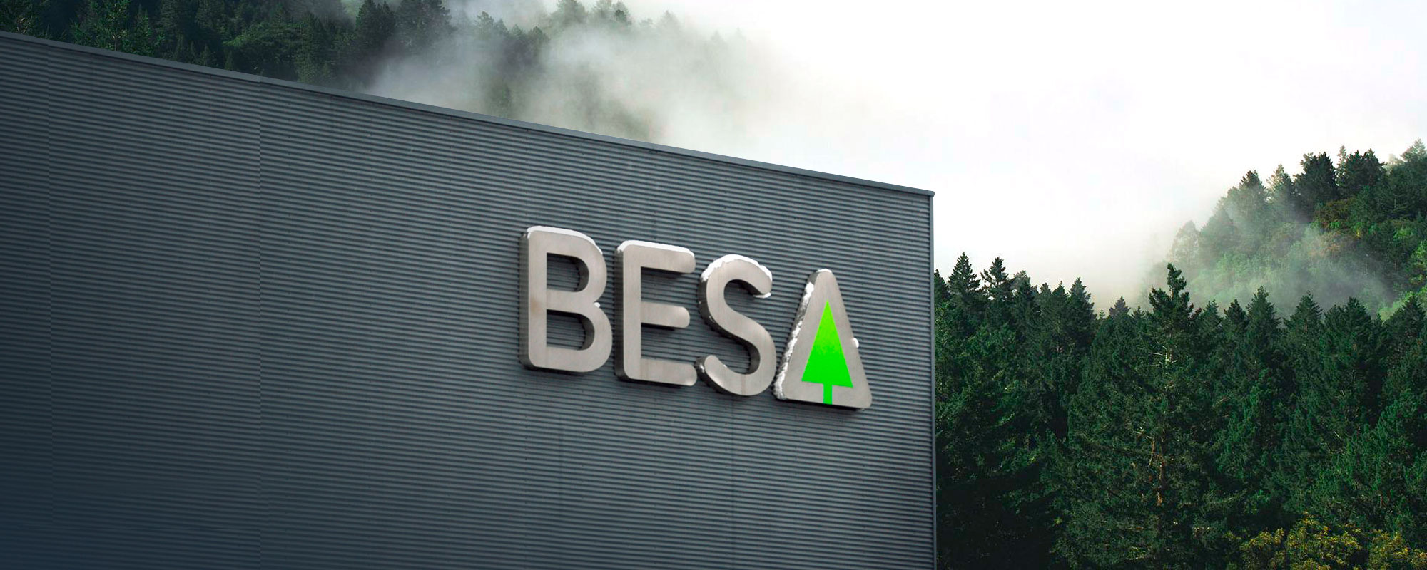 BESA, Crecimiento Sostenible como Cultura de Empresa | BESA